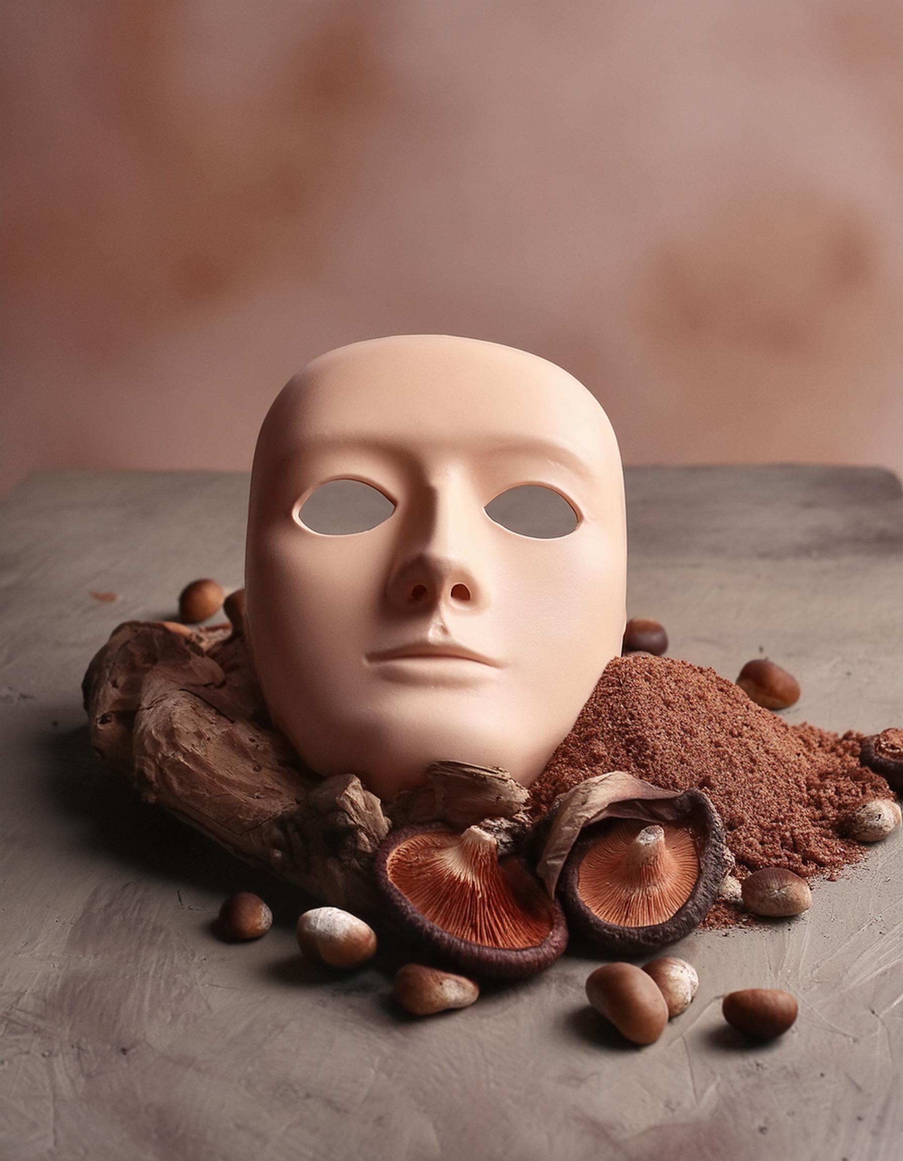 Organic Certified Mushroom Supplements in the UK | Antioxi